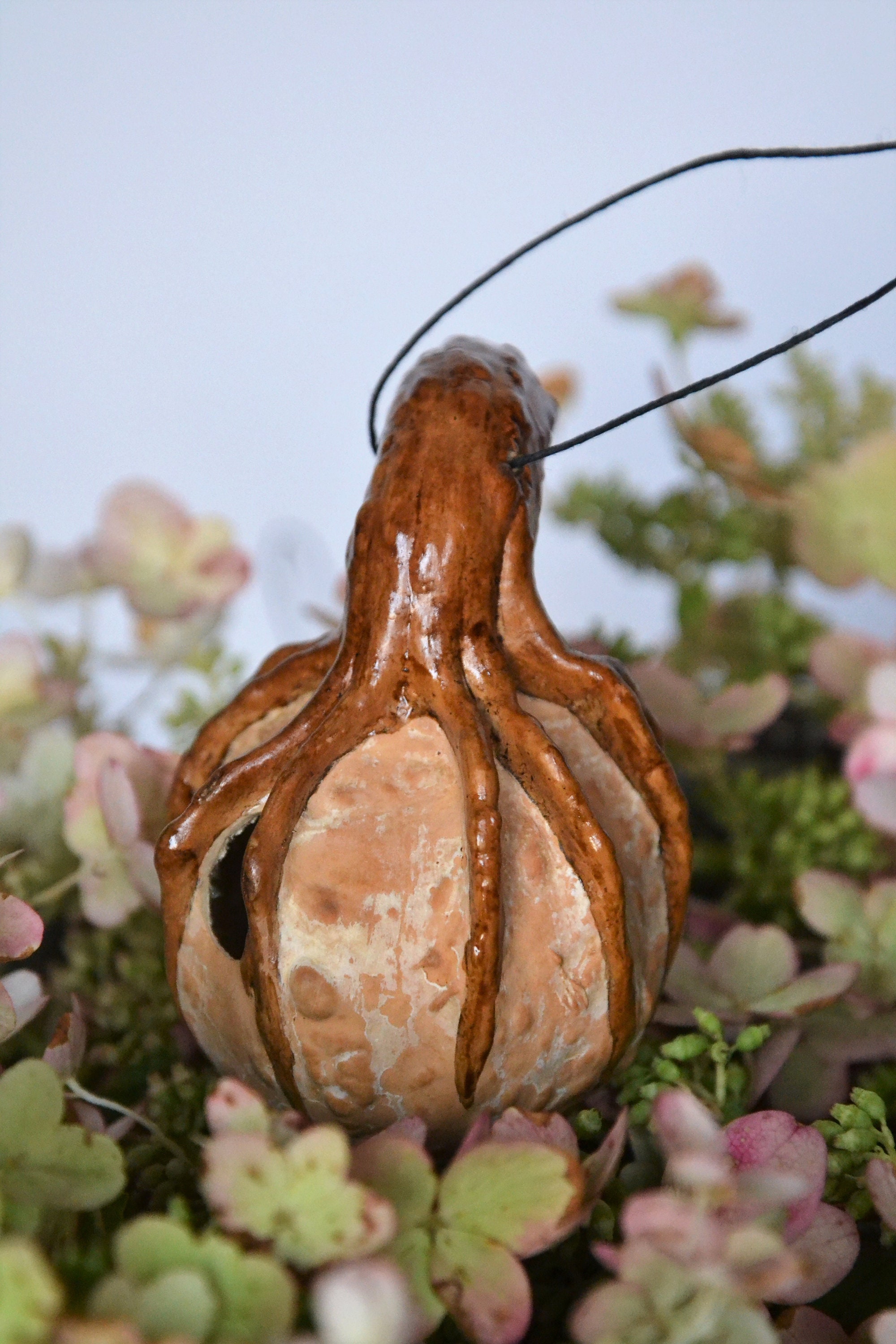 Tree Roots Gourd Altered Gourd Natural Decor Garden - Etsy