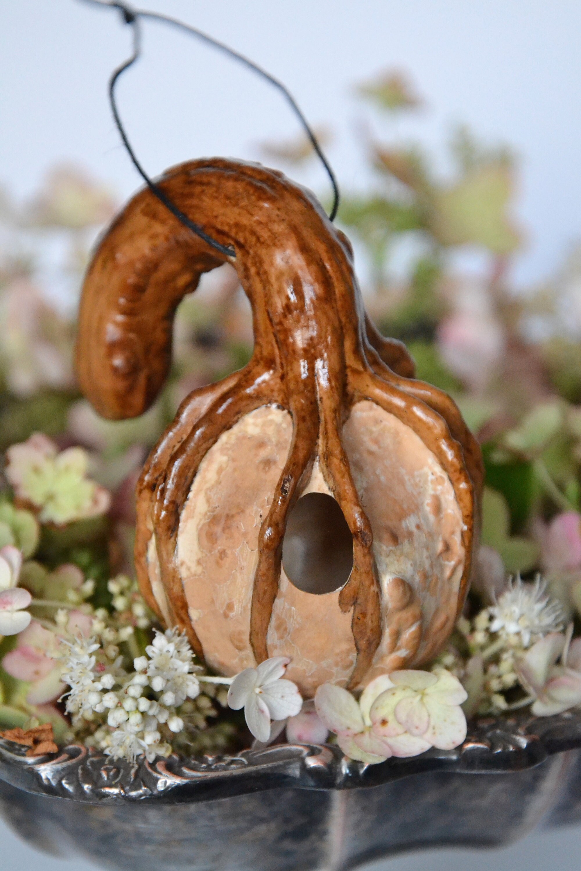 Tree Roots Gourd Altered Gourd Natural Decor Garden - Etsy