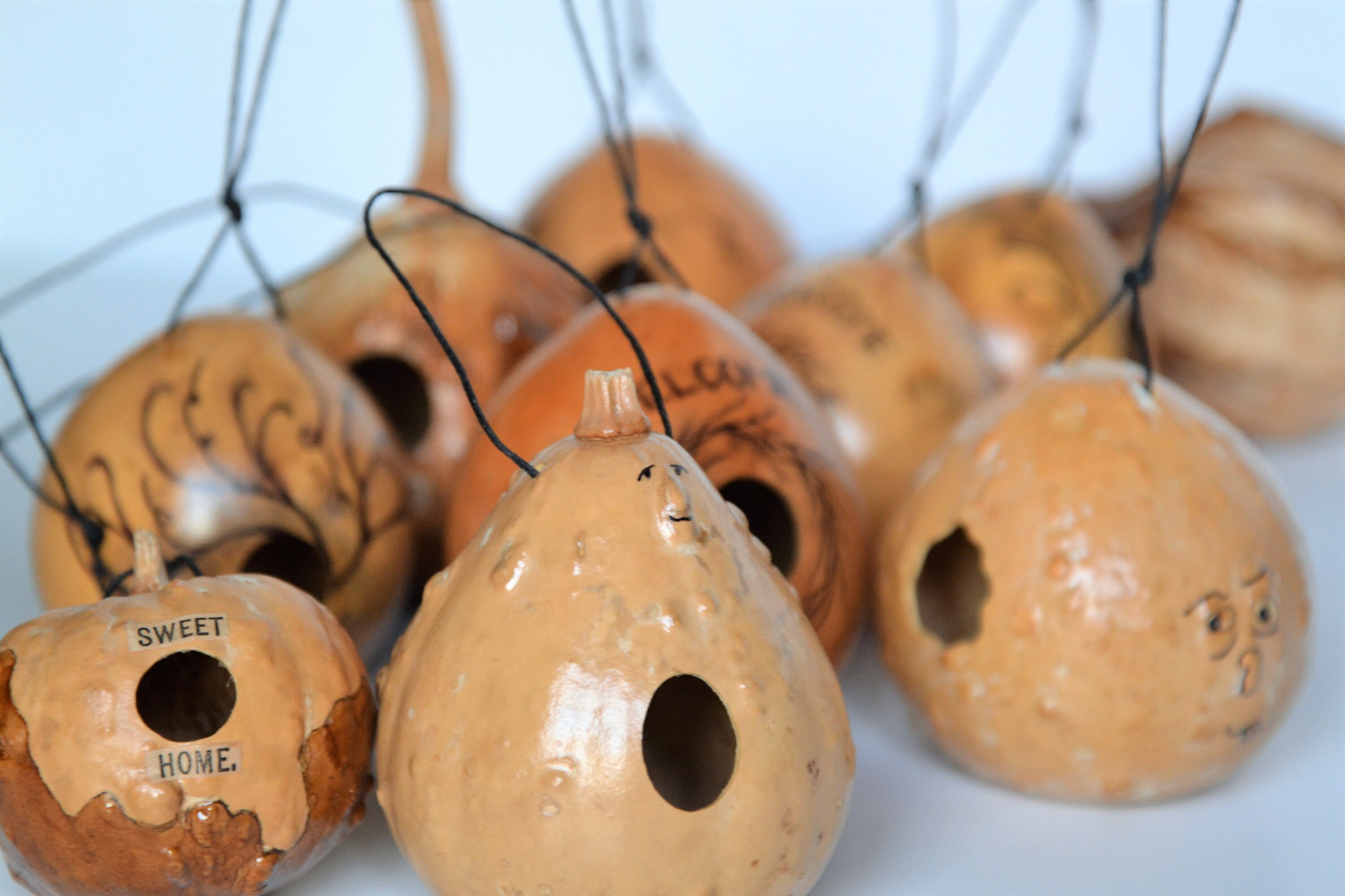 Tree Roots Gourd Altered Gourd Natural Decor Garden - Etsy