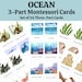 3 Part Cards - Ocean - Flash Cards, Sea, Montessori Flashcards ...