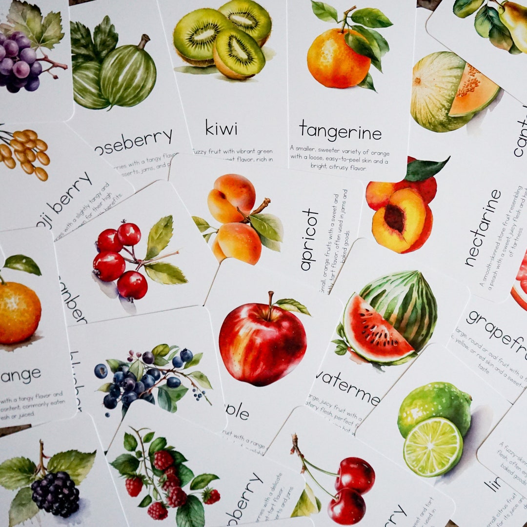 Curiosity Cards Fruit, Flash Cards for the Curious Mind, Montessori ...