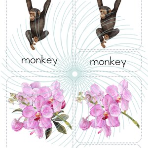 3 Part Cards Rainforest Flash Cards Montessori - Etsy