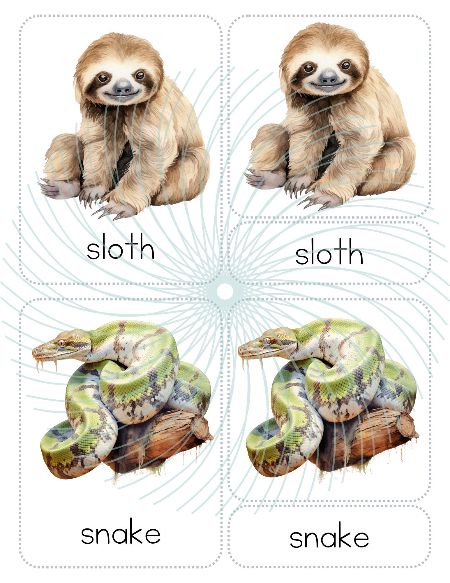 3 Part Cards - Rainforest - Flash Cards, Montessori Flashcards ...