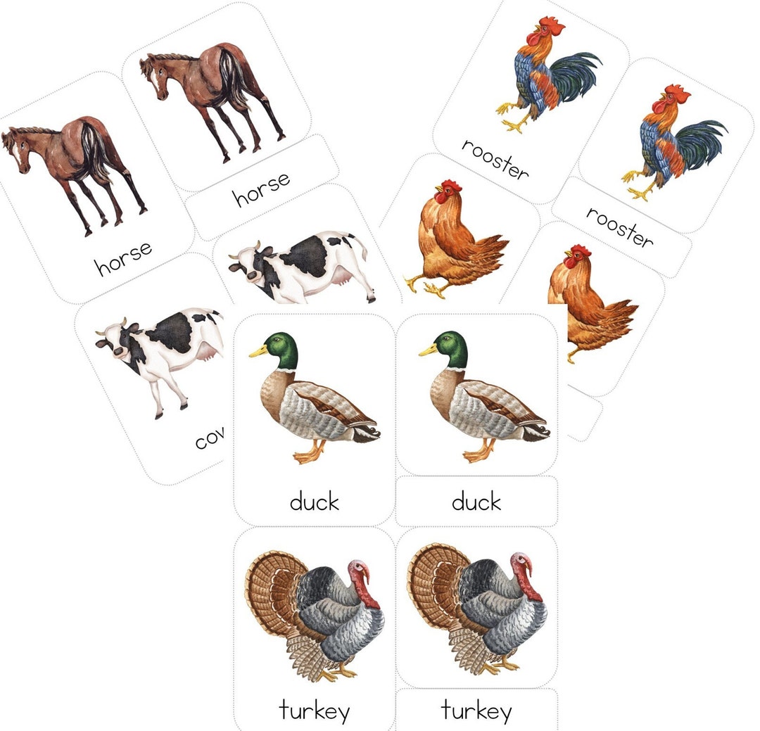 Farm 3 Part Cards for Toddlers and Preschool Nomenclature, Busy ...