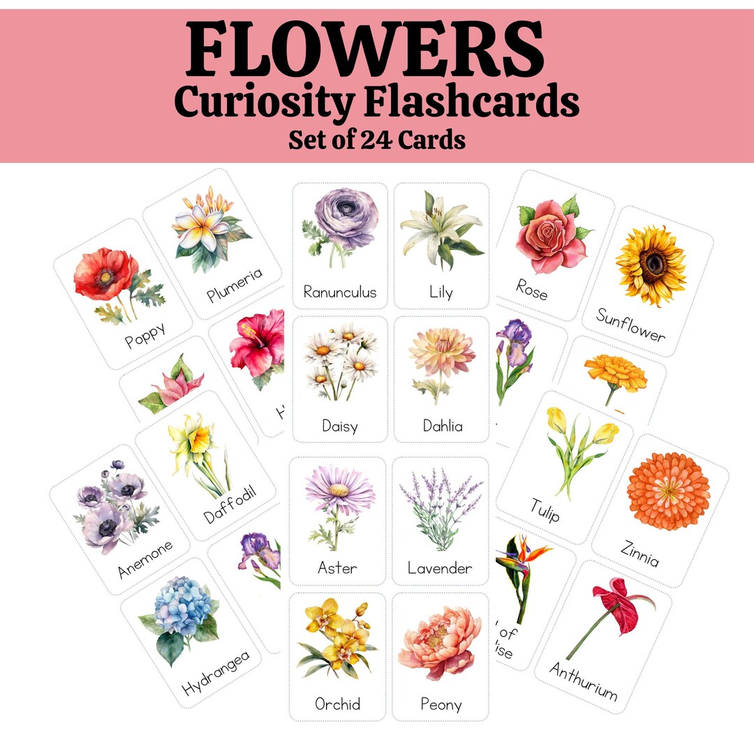 Flashcards - Flowers Floral Flora Curiosity Cards for the Growing Mind ...