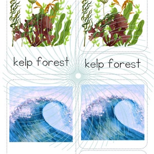 3 Part Cards - Ocean - Flash Cards, Sea, Montessori Flashcards ...