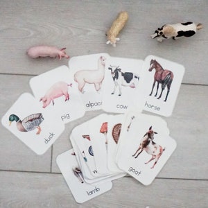 Farm 3 Part Cards for Toddlers and Preschool Nomenclature, Busy ...