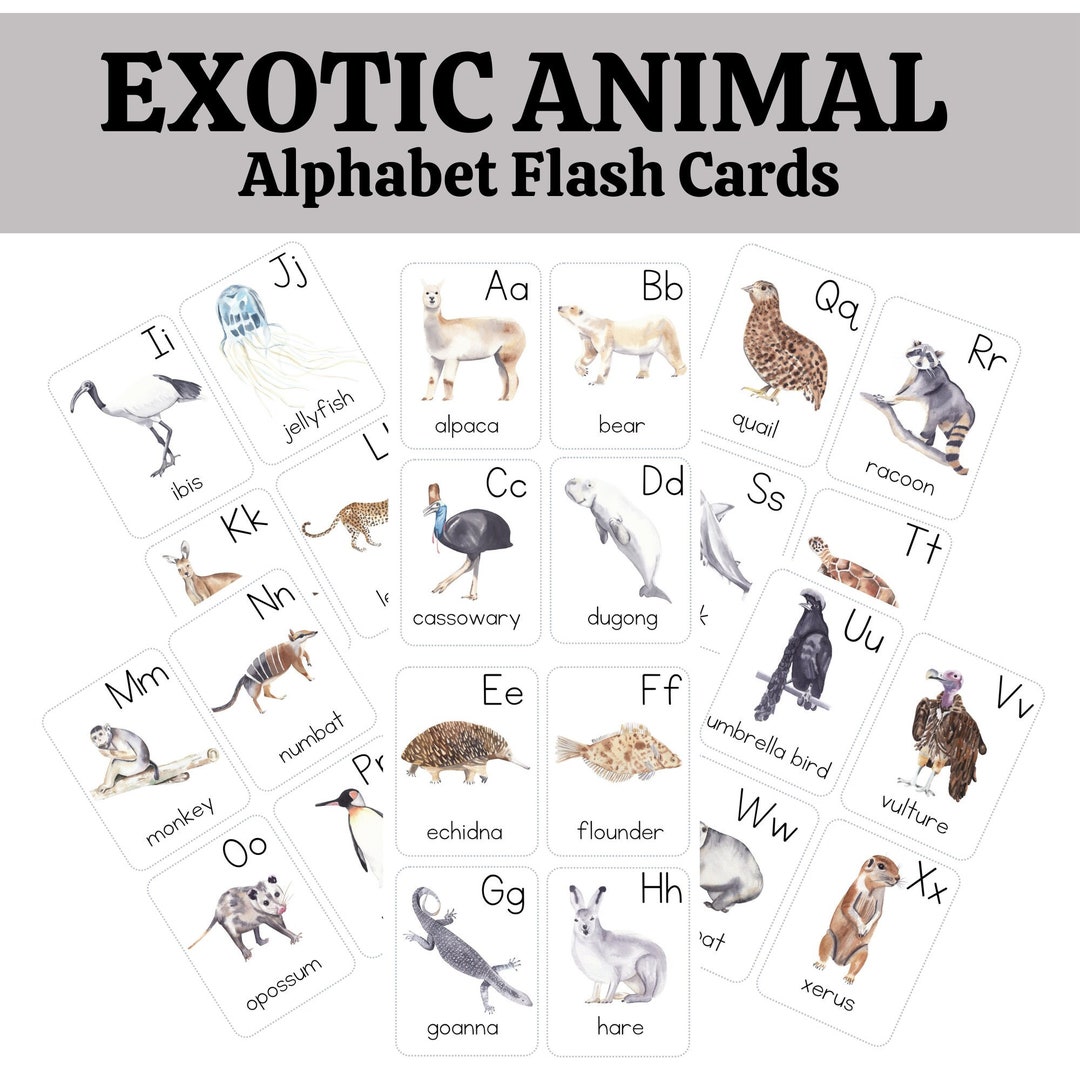 Flashcards A-Z Exotic Animals, Preschool, Toddler, Child - Life Long ...