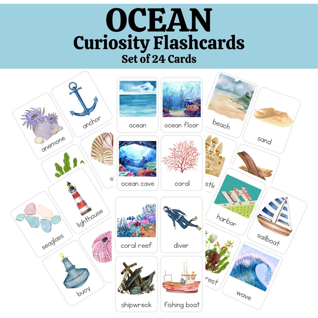 Flashcards - Ocean Sea Curiosity Cards for the Growing Mind, Montessori ...