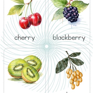 Flashcards - Fruit Curiosity Cards for the Growing Mind, Montessori ...