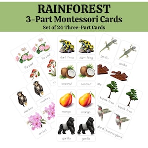 3 Part Cards - Rainforest - Flash Cards, Montessori Flashcards ...