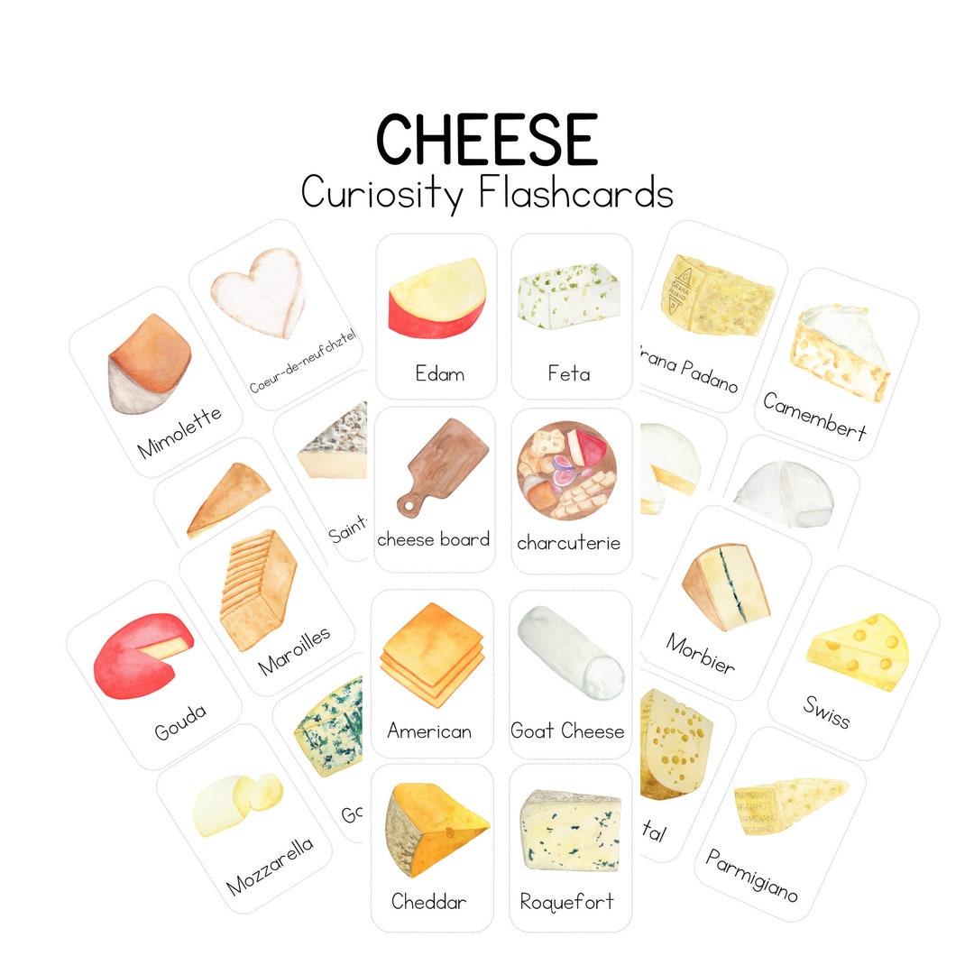 Curiosity Cards - Cheese, Flash Cards for the Curious Mind, Montessori ...