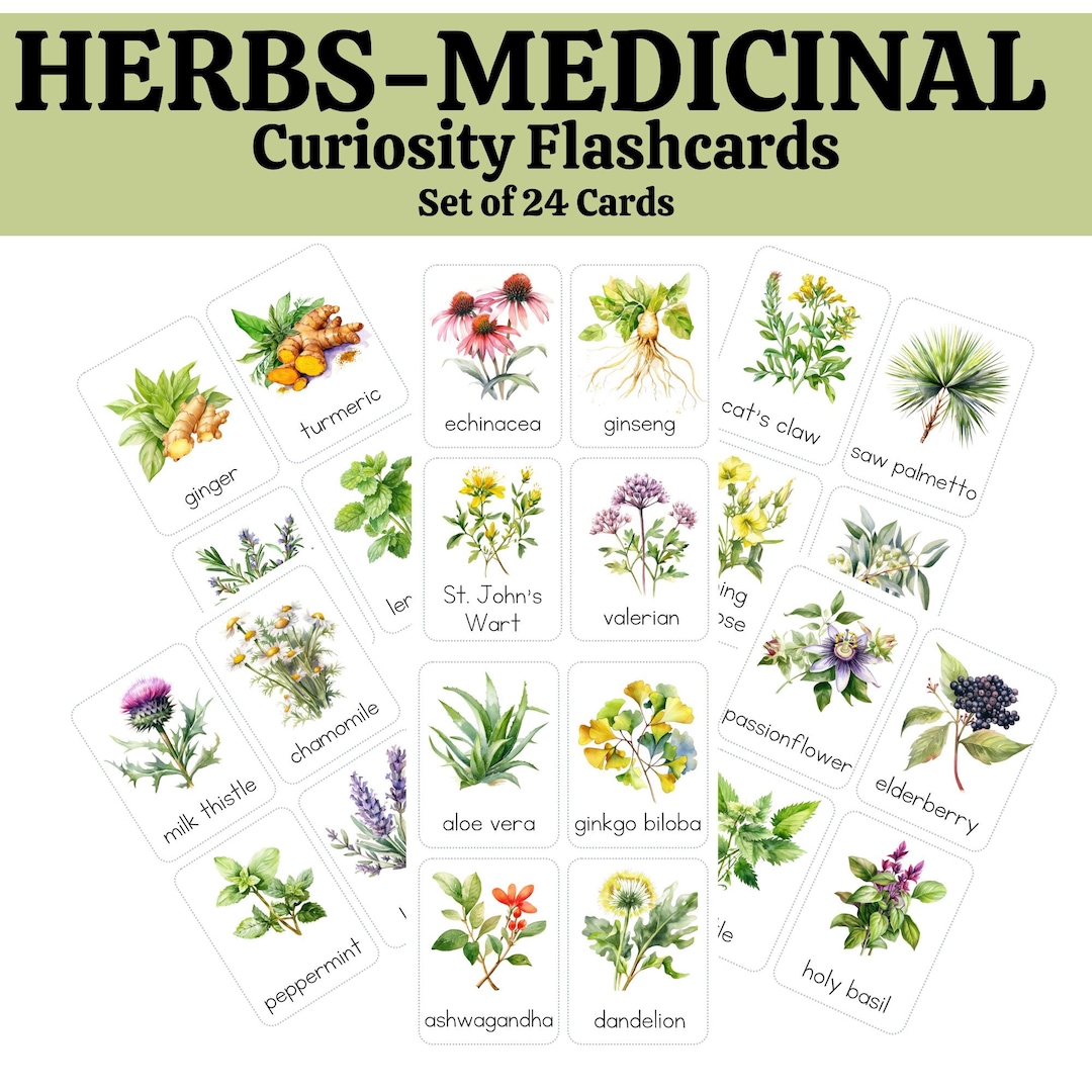 Flashcards - Herbs Medicinal, Curiosity Cards for the Growing Mind ...
