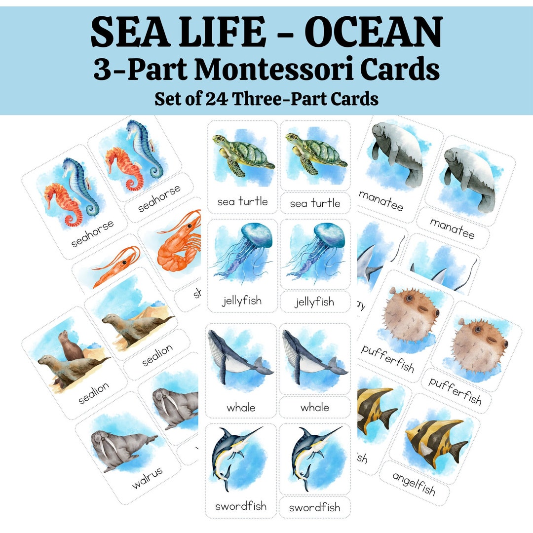 3 Part Cards - Sea Life Ocean - Flash Cards, Montessori Flashcards ...