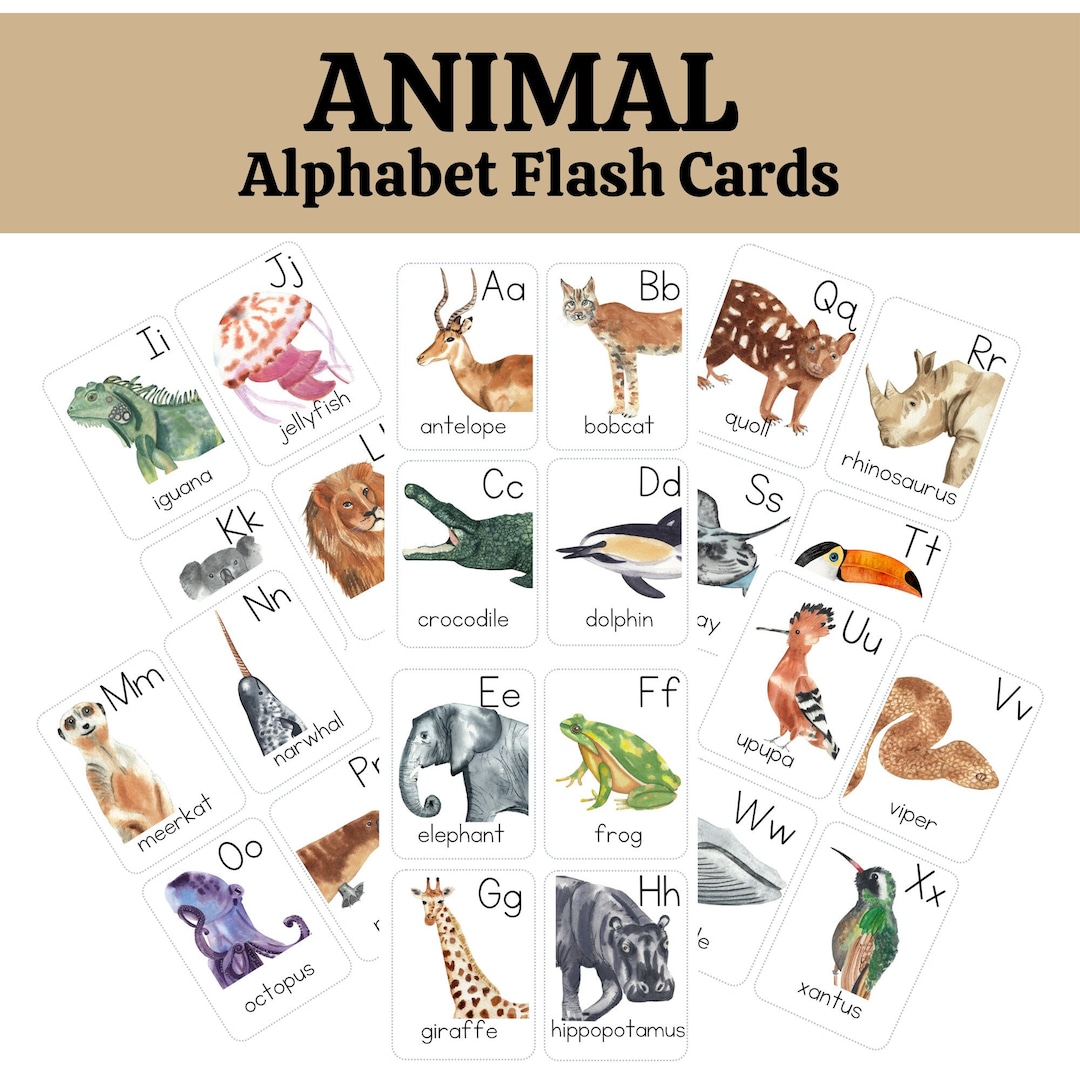 Alphabet Flashcards A-Z Animals, Preschool, Toddler, Child - Life Long ...