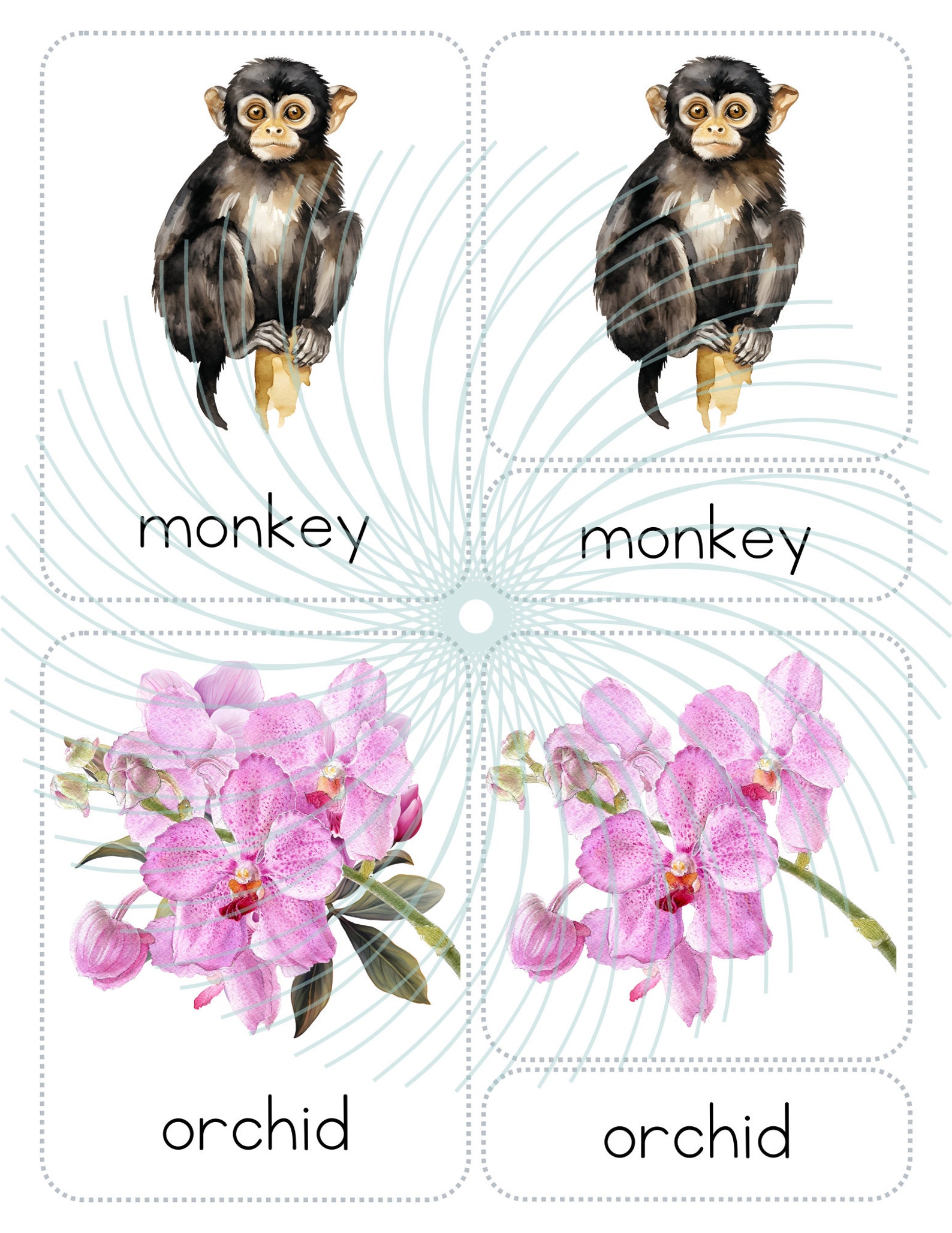 3 Part Cards - Rainforest - Flash Cards, Montessori Flashcards ...