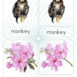 3 Part Cards - Rainforest - Flash Cards, Montessori Flashcards ...