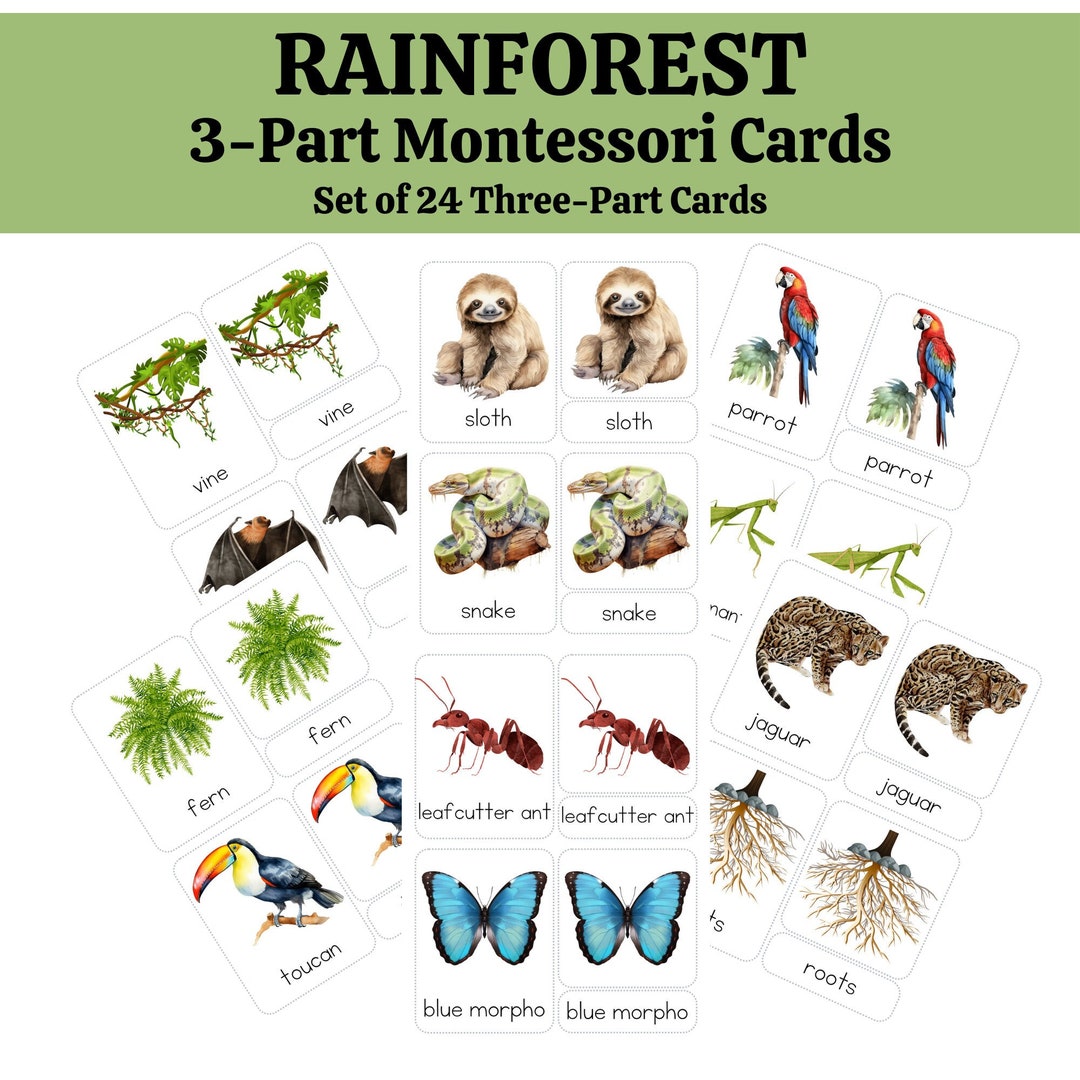 3 Part Cards - Rainforest - Flash Cards, Montessori Flashcards ...