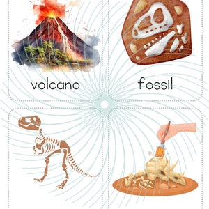 Flashcards - Dinosaur Curiosity Cards for the Growing Mind, Montessori ...