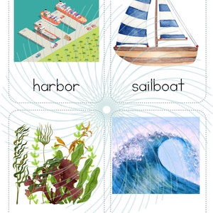 Flashcards - Ocean Sea Curiosity Cards for the Growing Mind, Montessori ...