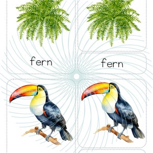 3 Part Cards - Rainforest - Flash Cards, Montessori Flashcards ...