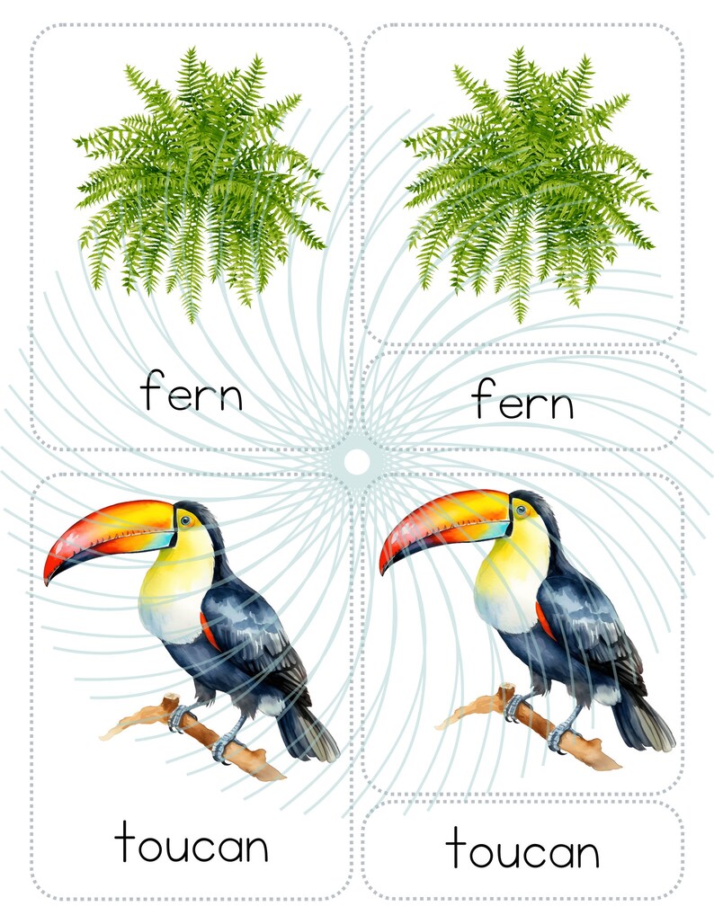 3 Part Cards - Rainforest - Flash Cards, Montessori Flashcards ...