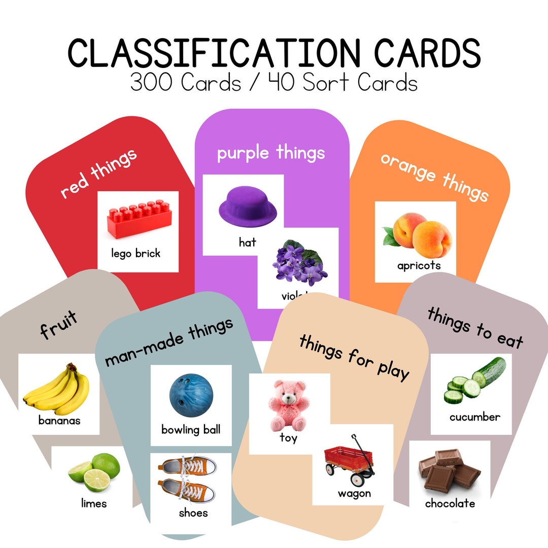 Classification Cards, 300 Cards, 36 Category Cards - Flash Cards ...