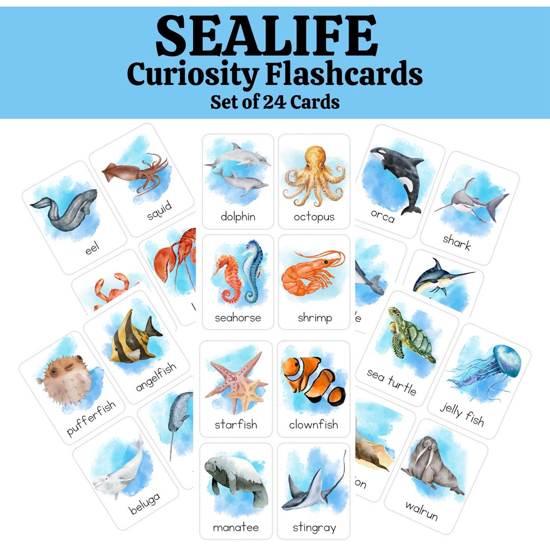 Flashcards - Sea Life Curiosity Cards for the Growing Mind, Montessori ...