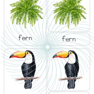 3 Part Cards Rainforest Flash Cards Montessori - Etsy