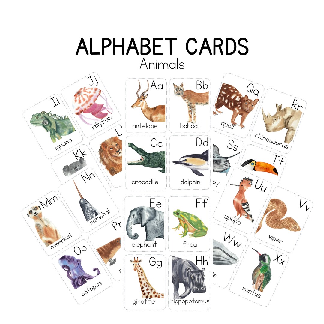 Flashcards A-Z Animals, Preschool, Toddler, Child Life Long Learning ...