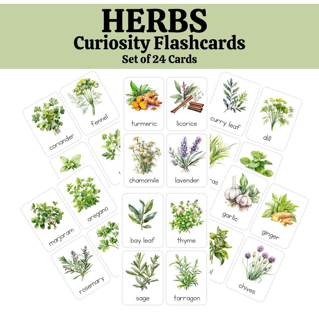 Flashcards - Herbs, Curiosity Cards for the Growing Mind, Montessori ...