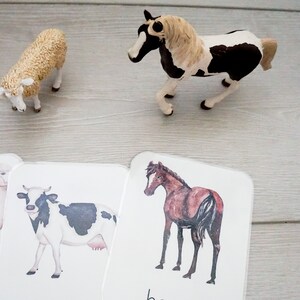 Farm 3 Part Cards for Toddlers and Preschool Nomenclature, Busy ...