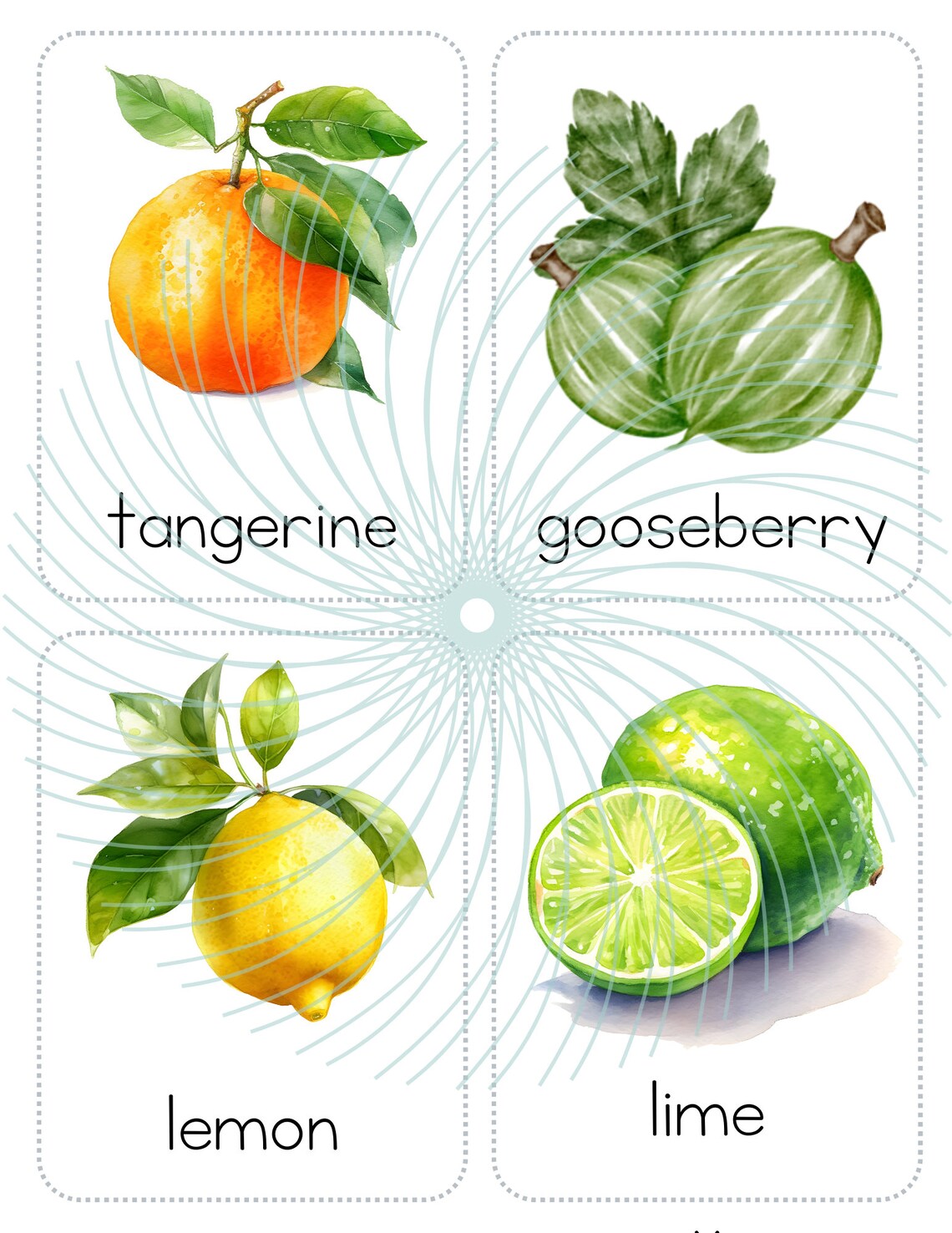Flashcards - Fruit Curiosity Cards for the Growing Mind, Montessori ...