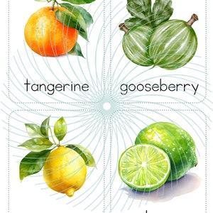 Flashcards - Fruit Curiosity Cards for the Growing Mind, Montessori ...