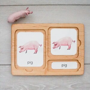 Farm 3 Part Cards for Toddlers and Preschool Nomenclature, Busy ...