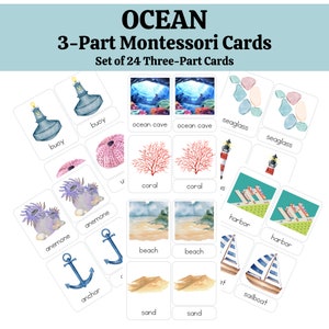3 Part Cards - Ocean - Flash Cards, Sea, Montessori Flashcards ...