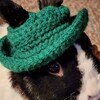 Snake Hat Pattern, Ball Python Hat, Crochet Snake Hat Pattern, Pom-pom ...