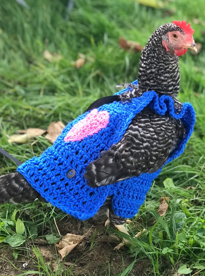 Chicken Sweater Crochet Chicken Sweater Chicken Shirt - Etsy