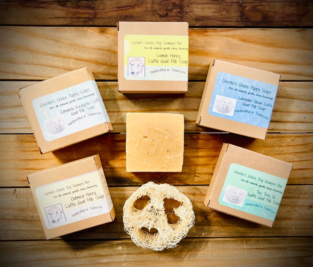 Variety Pack of Luffa Goat Milk Dog Shampoo Bars (set of 5) - Etsy