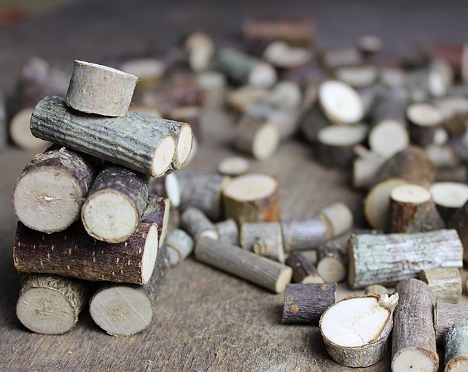 Small Wood Slice Wood Twigs Wood Pieces Wood Craft Supply - Etsy
