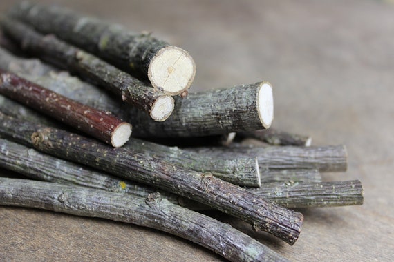 Wooden Branch Stick