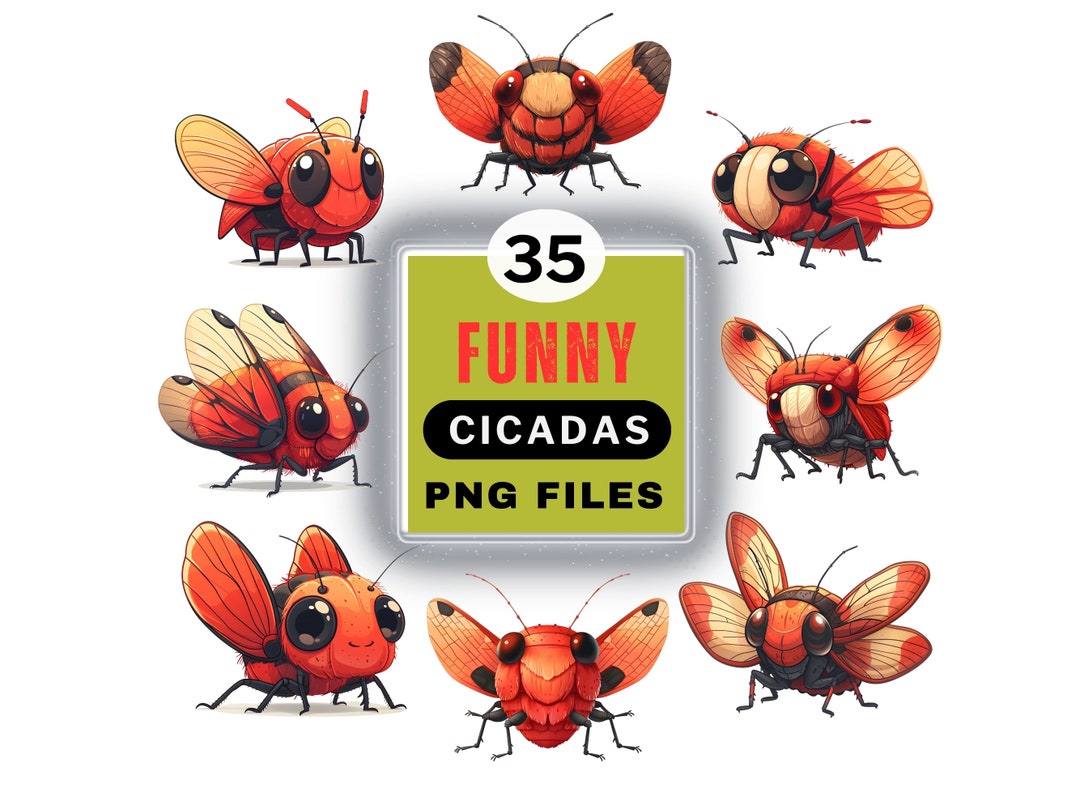 Funny Cicada PNG Clipart Bundle, Baby Animals in Cartoon Style, Cute ...