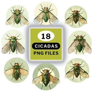 Green Cicada Round Logo Clipart PNG Bundle, Trendy PNG Designs for ...