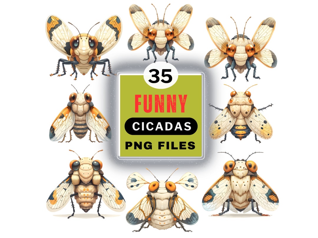 Funny Cicada PNG Clipart Bundle, Baby Animals in Cartoon Style, Cute ...