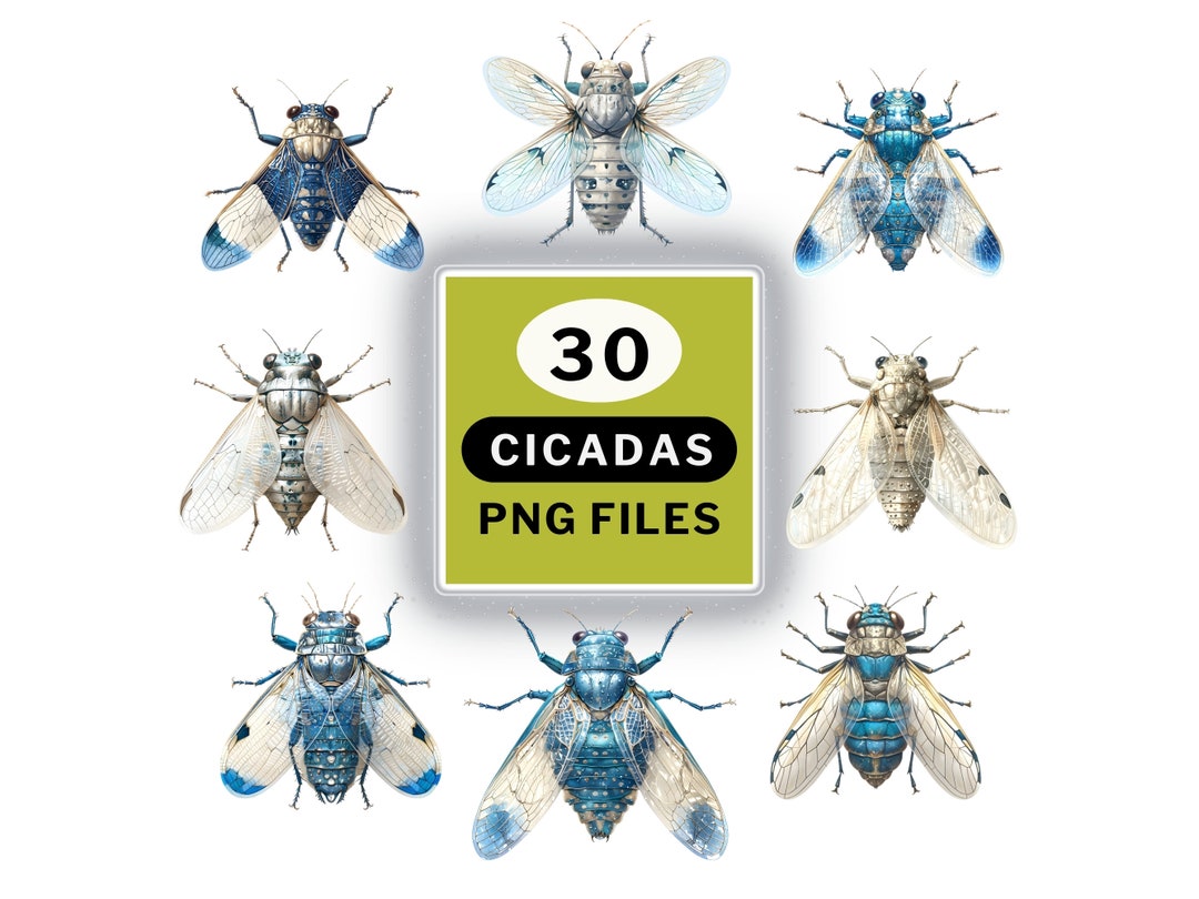 Cicada PNG Clipart Bundle, Silver and Blue, Trendy PNG Designs for ...
