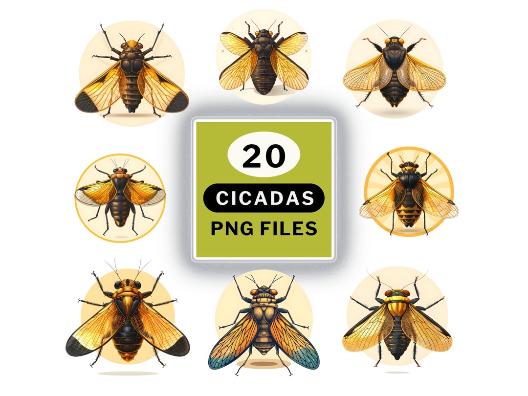Yellow Cicada Round Logo Clipart PNG Bundle, Trendy PNG Designs for ...