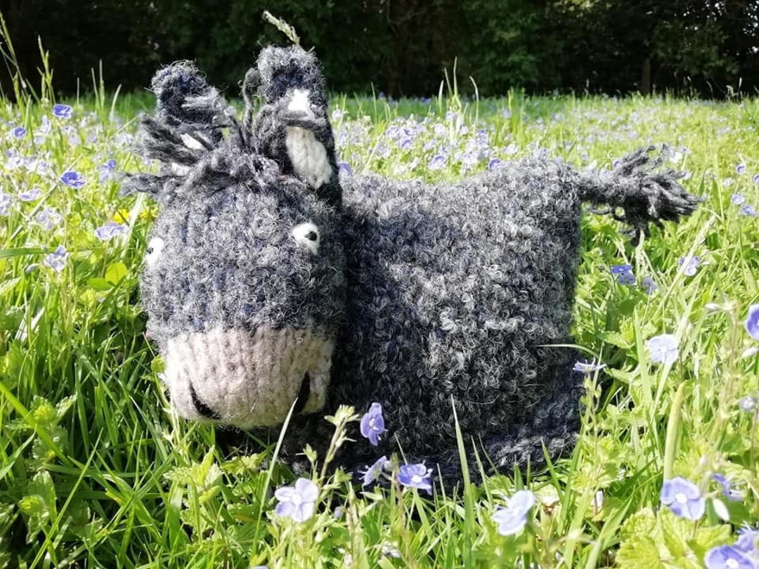 Donkey Hand Knitted Tea Cosy - Etsy