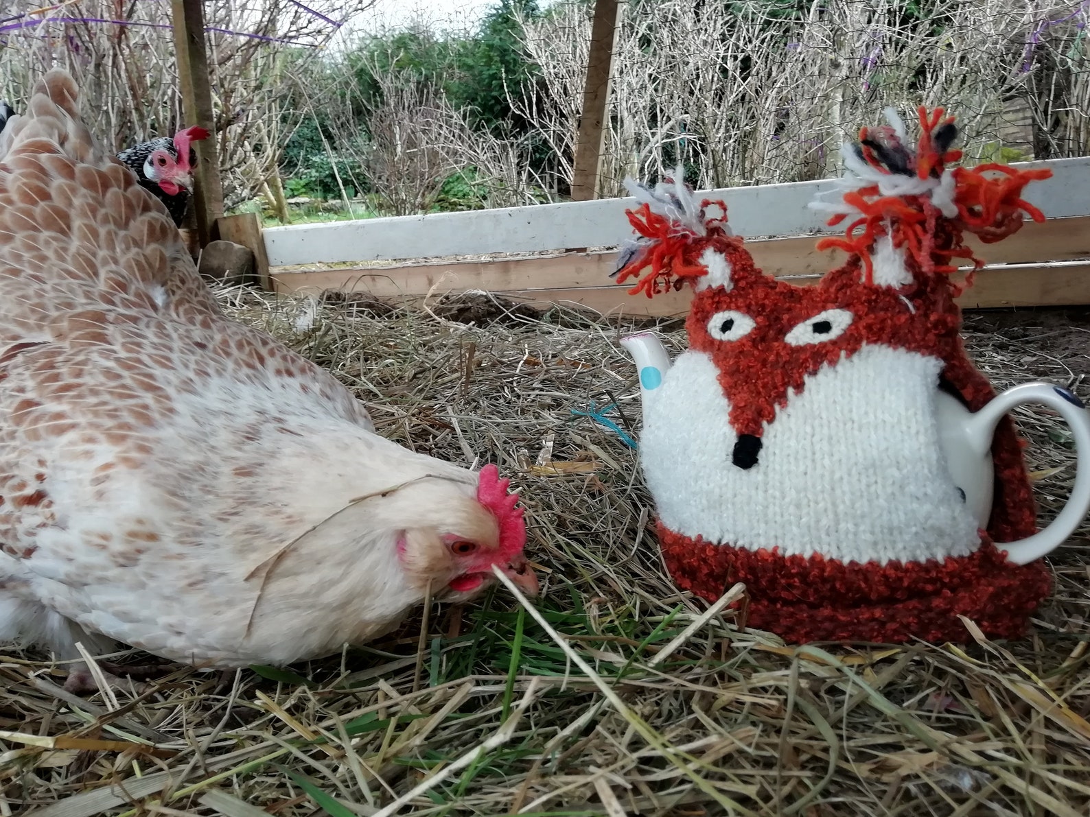 Fox TEA Pot Cozy - Etsy