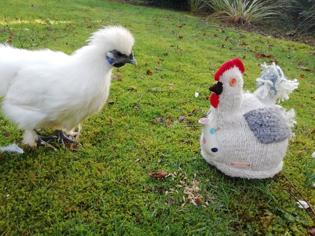 Chicken Tea Pot Cozy - Etsy