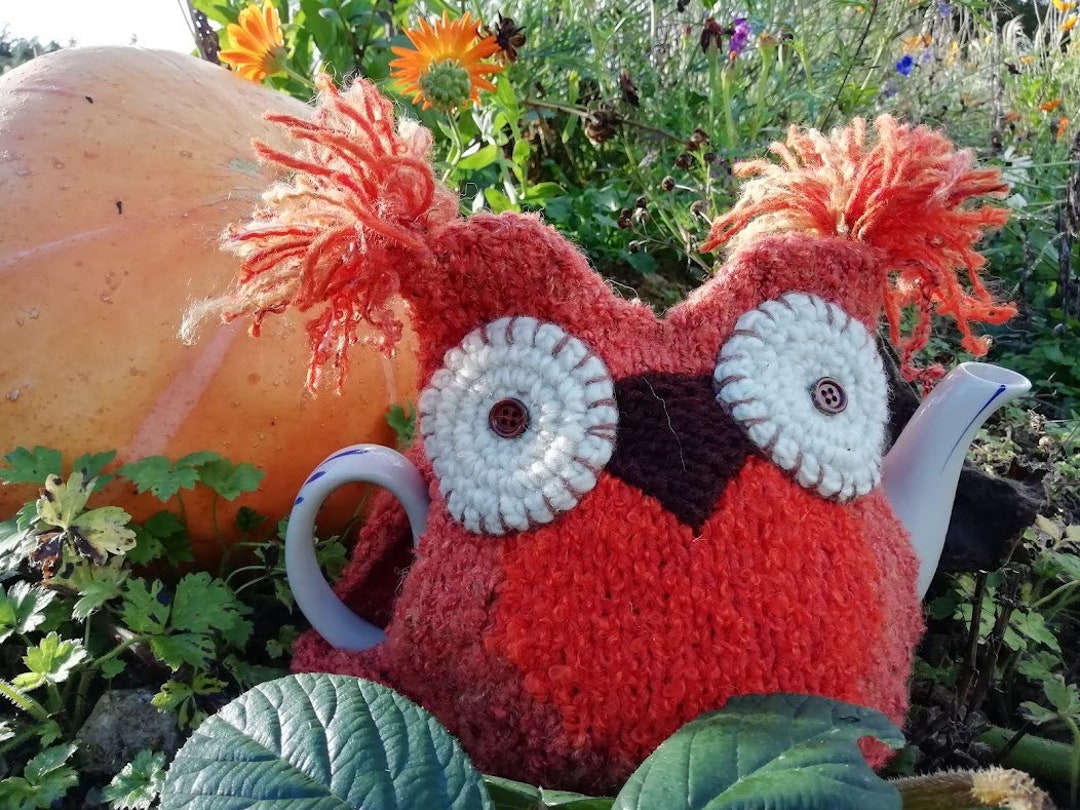 Hand Knitted Tea Cosy - Owl, Free Shipping - Etsy